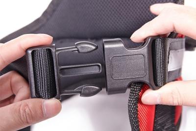 Cina Controllo di nylon del doppio dell'imbracatura per cani nessuna tirata in vendita