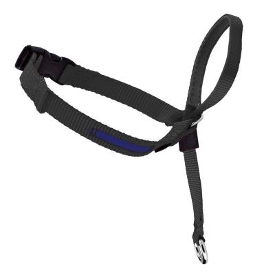 El halter de nylon del cuello de la cabeza de perro para mejores maneras del correo del perro modificó el logotipo para requisitos particulares