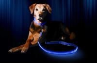 China Safe Highly Visable LED Dog Leash Nylon Material for sale