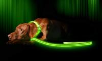 China Safe Highly Visable LED Dog Leash Nylon Material for sale