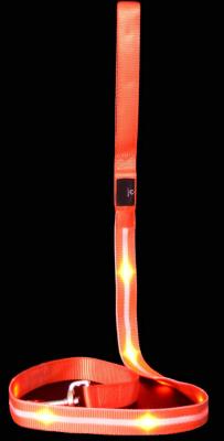 China Luxe LEIDENE Hondleiband met Flitslicht, de Duurzame Nylon Leiband van de Singelbandhond Te koop