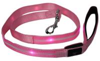 China Luxury LED Dog Leash With Flashlight , Durable Nylon Webbing Dog Leash for sale