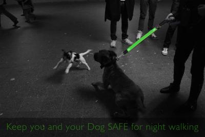 Cina Tessitura di nylon accesa sicurezza riflettente resistente di notte del guinzaglio del cane del LED in vendita