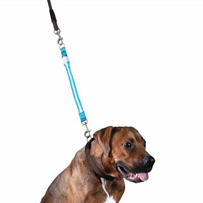 China Multiple Color LED Light Up Dog Leash , Dog Seat Belt Clip For Outdoor Travel for sale
