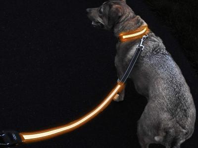 China Hohe Hundeleine der Sicht-LED, dauerhafter reflektierender LED-Haustier-Leinen-Leichtgewichtler zu verkaufen