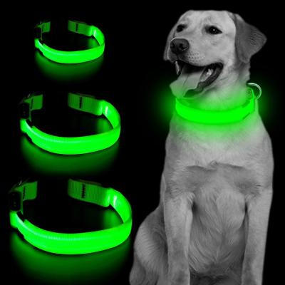 China High Visibility Rechargeable Light Up Dog Collar for sale
