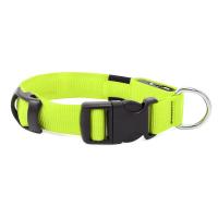 China High Visibility Rechargeable Light Up Dog Collar for sale