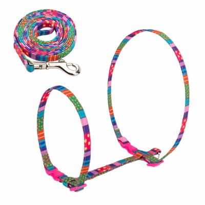 China Cat Harness with Leash Set - Adjustable Soft Strap with Fashion Design for sale