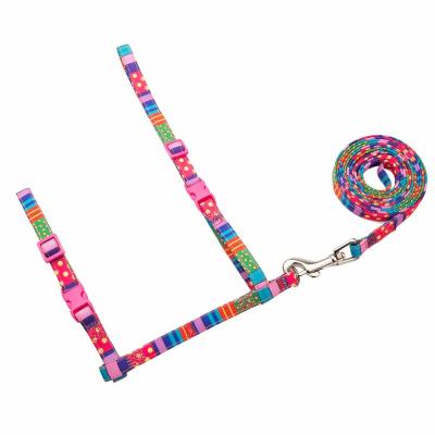 China Cat Harness with Leash Set - Adjustable Soft Strap with Fashion Design for sale