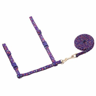 Cina Il collare del cablaggio del gatto con il guinzaglio ha messo - adatti la progettazione con il fermo durevole ed il fermaglio del rilascio rapido in vendita