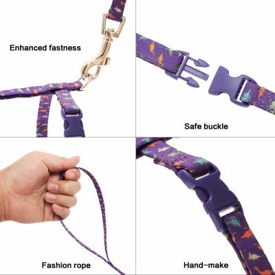 Cina Il collare del cablaggio del gatto con il guinzaglio ha messo - adatti la progettazione con il fermo durevole ed il fermaglio del rilascio rapido in vendita