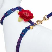 China Breakaway Safety Cat Harness Collar , Personalized Cat Collars Polyester Webbing for sale