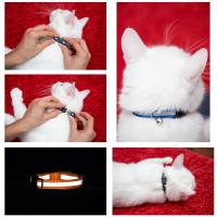 China 6 Set Solid Safe Cat Harness Collar , Nylon Reflective Cat Collar With Bell for sale