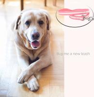 China Pink Waterproof Dog Leash 4ft No Pull Unchewable Basic Rubber Corrosion Resistant for sale