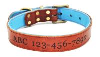 China Soft Padded Leather Cat Collars Strong Adjustable For Training Running Walking for sale