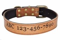 China Soft Padded Leather Cat Collars Strong Adjustable For Training Running Walking for sale
