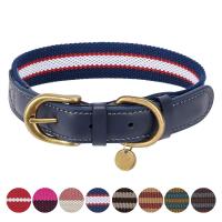 China Polyester Webbing Leather Pet Collars Matched Leashes Available for sale