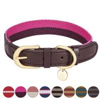 China Polyester Webbing Leather Pet Collars Matched Leashes Available for sale