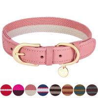China Polyester Webbing Leather Pet Collars Matched Leashes Available for sale
