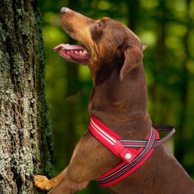 Cina Nessuna pelle riempita maglia riflettente dell'imbracatura per cani LED di tirata amichevole con le cinghie regolabili in vendita