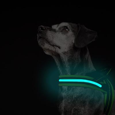 China USB Rechargeable Flashing LED Dog Harness No Choke With Lightweight Mesh Lining for sale