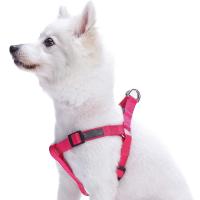 China Classy Style Nylon Dog Harness No Pull Adjustable Size Multicolored Options for sale