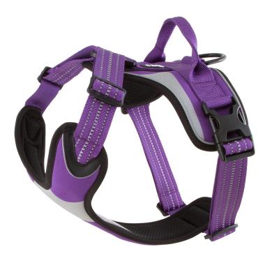 Cina Riflettori delicatamente comodi di nylon attivi di 3M dell'imbracatura per cani grandi con la maniglia robusta in vendita