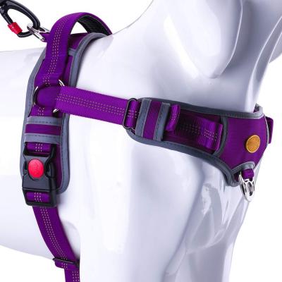 China Choke Free Dog Halter Harness Leash Set 5 Ft Double Handle Shock Absorbing Bungee for sale