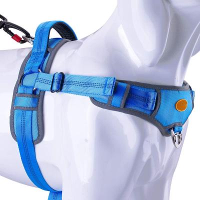 China Choke Free Dog Halter Harness Leash Set 5 Ft Double Handle Shock Absorbing Bungee for sale