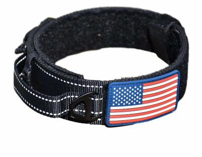 China Double Thick Nylon Dog Collars Easy Cleaning With Brushed Hardware Finish for sale