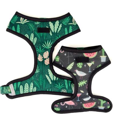Cina Imbracatura per cani di nylon reversibile leggera con i lati stampati intercambiabili in vendita