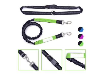 China Retractable Hands Free Dog Training Leash Dual Handle Bungee Waist Harness Nylon for sale