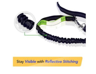 China Retractable Hands Free Dog Training Leash Dual Handle Bungee Waist Harness Nylon for sale