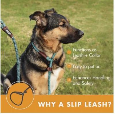 China Heavy Duty Nylon Dog Leash Reflective Comfortable Padded Handle Adjustable Loop for sale