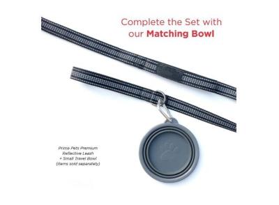 중국 부드럽게 두껍게 덧대진 두 배 손잡이로 주문을 받아서 만들어지는 높게 사려깊은 나일론 개 가죽끈 판매용