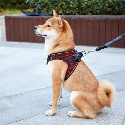 Cina Il peso leggero del cucciolo della comodità non ha riempito maglia dell'animale domestico di tirata in vendita