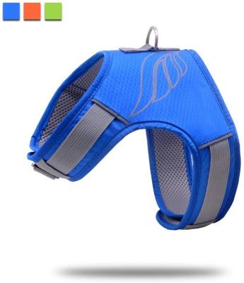 China Soft Adjustable Snap Buckles Reflective 20