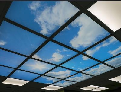 Cina Luce di pannello per soffitti d'abitazione di alluminio di 600x600mm 6000lm LED in vendita