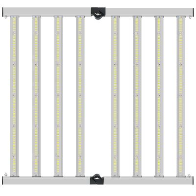 Cina Risparmio energetico completo di spettro 4000k della luce progressiva rossa UV 1000W di Dimmable in vendita