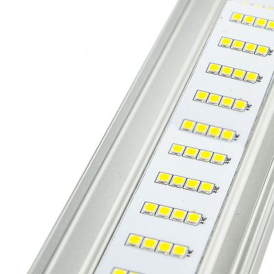 Cina Risparmio energetico completo di spettro 4000k della luce progressiva rossa UV 1000W di Dimmable in vendita