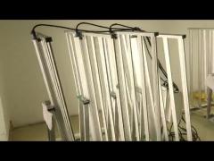 50Hz spettro completo delle luci progressive della pianta LED per l'agricoltura idroponica