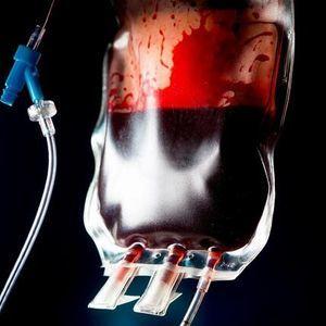 China Medical Supply Sterile Disposable Blood Collection Bag OEM for sale