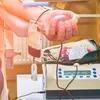 Quality Medical Supply Sterile Disposable Sample Blood Bag for sale