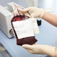 Quality Blood bags for sale