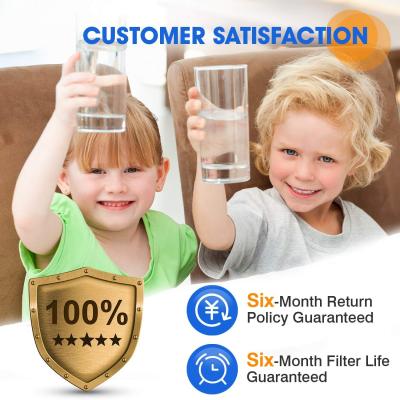 China Upgrade Your Water with 0.5 Micron GXRTQR Inline Water Filter Replacement Cartridge 1 Pack for sale