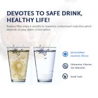 China LT1000P LT1000PC Refrigerator Water Filter Replacement A Solution for Lead Reduction for sale