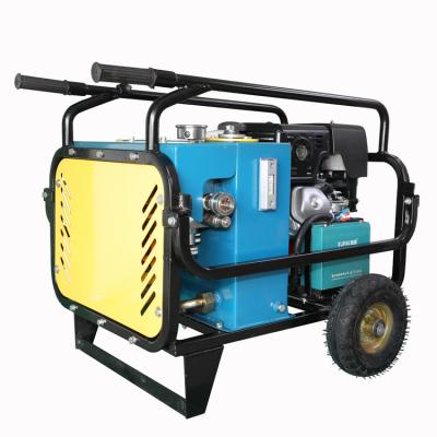 Cina Rimozione della vita marina dei produttori di unità di potenza idraulica alimentate a benzina da 4000 Psi in vendita
