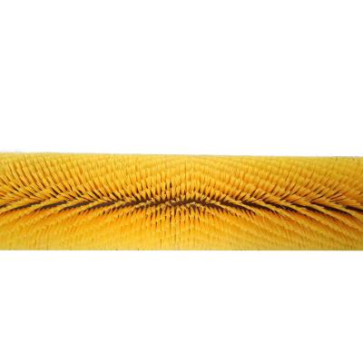Cina Spazzola di nylon del cilindro industriale del rullo per la frutta e la pulizia delle verdure in vendita
