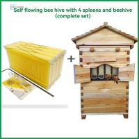China 7 Bee Hive Frames Set Apiculture Equipment Beekeeping Tool for sale