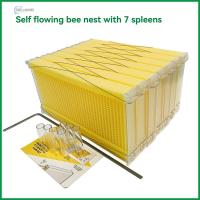 China 7 Bee Hive Frames Set Apiculture Equipment Beekeeping Tool for sale